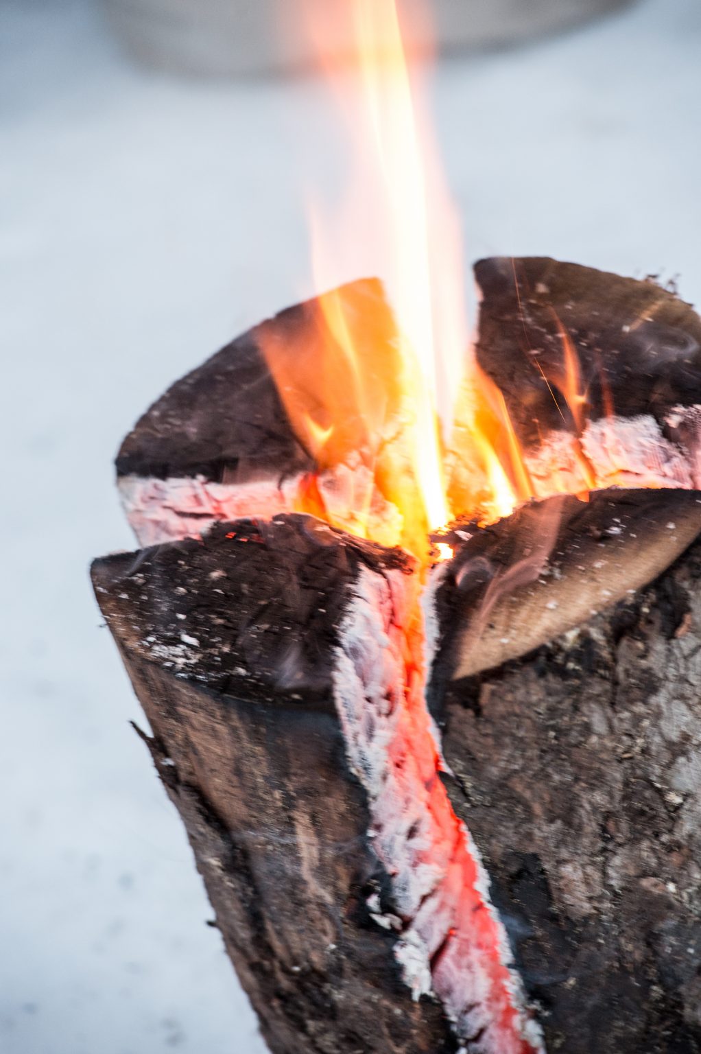 Flambeaux, torches en cire et torches LED • Flambeaux Shop